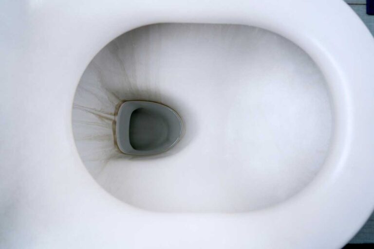 Addio al calcare nel water: i trucchi per eliminarlo e prevenirne la ...